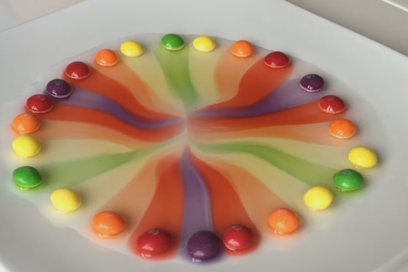 Easy-to-do home experiment using Skittles - WDRB 41 Louisville News