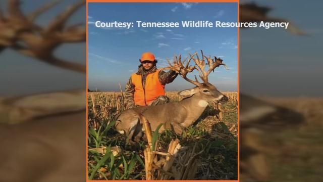 Tennessee hunter bags record-breaking 47 point buck - WDRB 41 ...